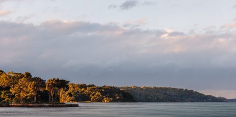 Double Bay | Ode | Double Bay